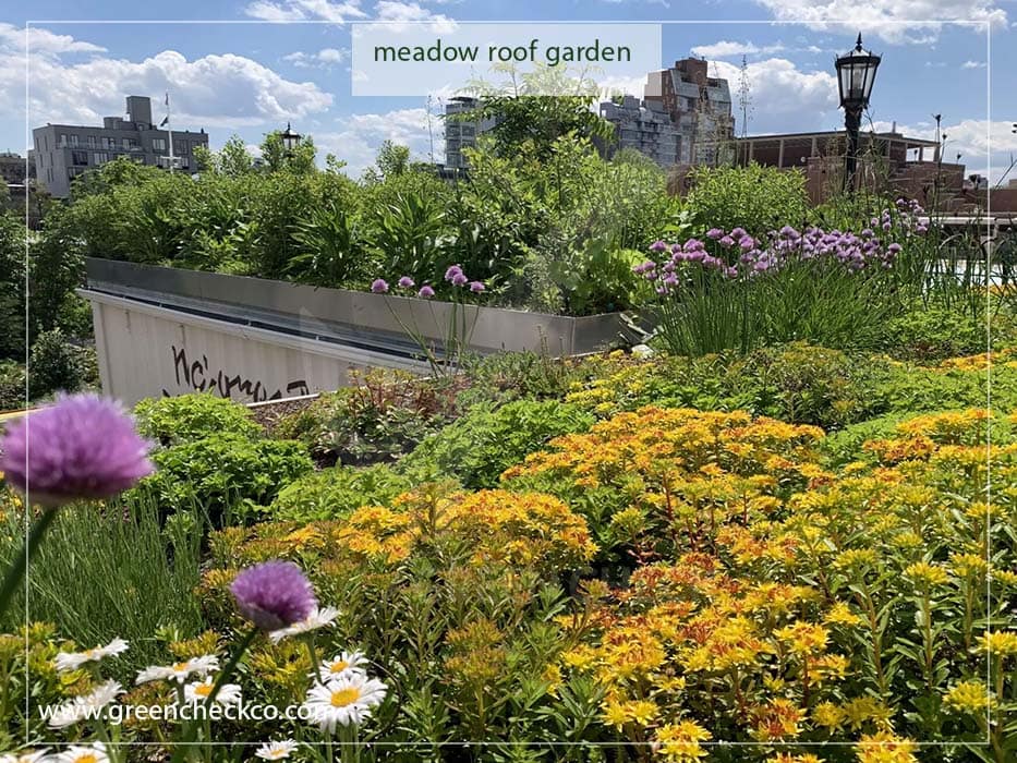 meadow roof garden |meadow roof | greencheckco