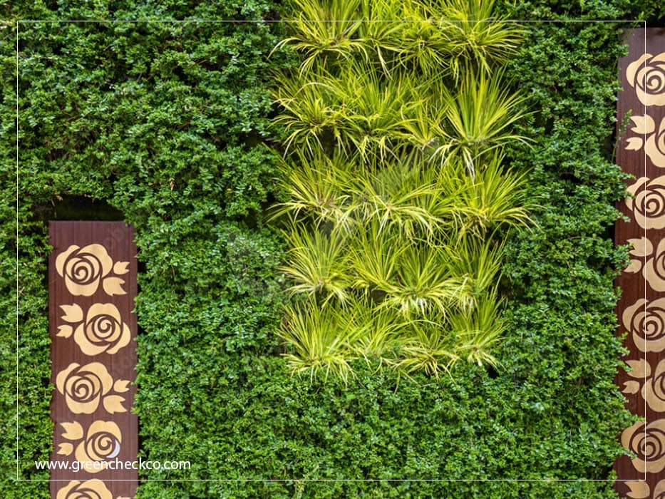 Green wall price | Green wall price in 2024| Greencheckco