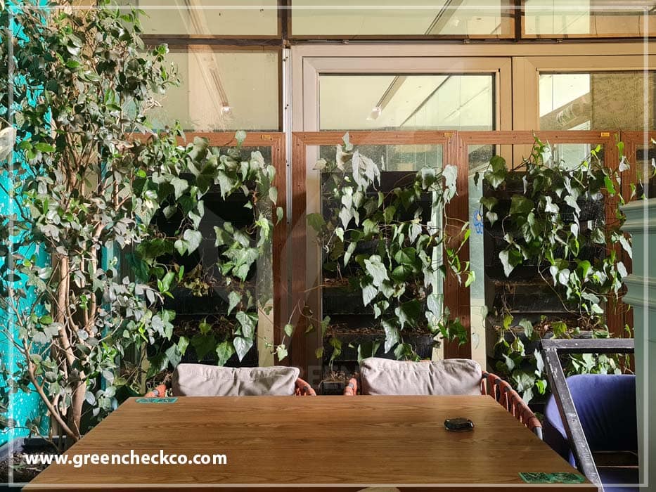 Portable green wall stands| buy with best price| greencheckco